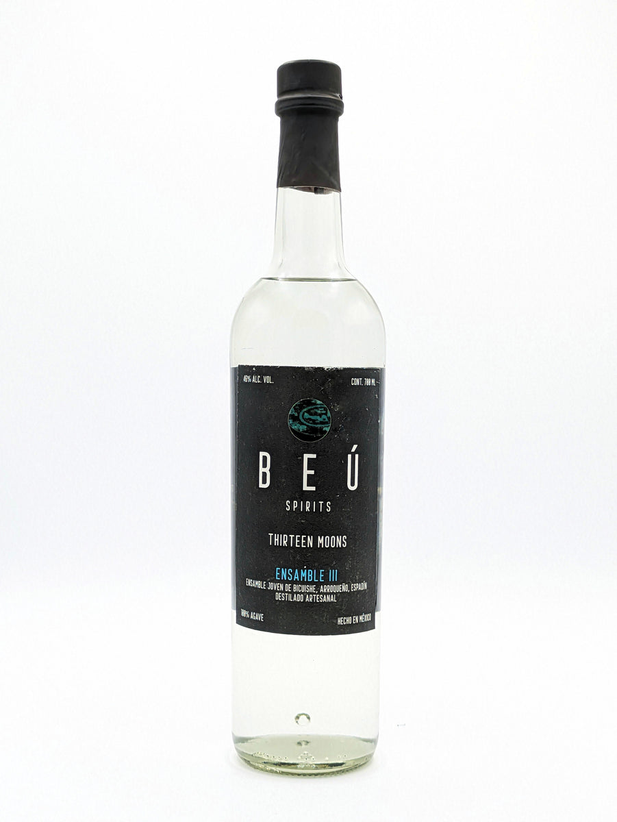 BEÚ Ensamble III – AGAVERABERLIN